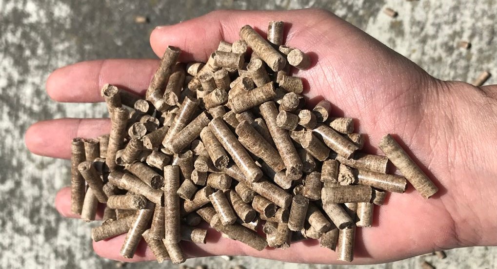 Pellet México Bioenergía